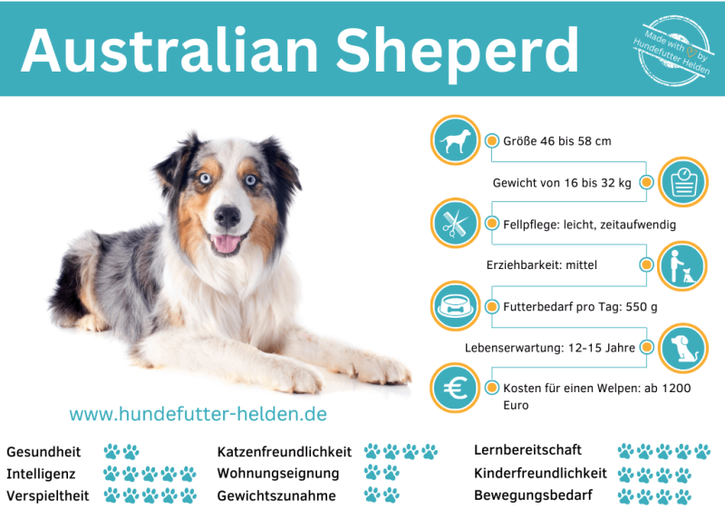 Australian Shepherd - Hundefutter Helden